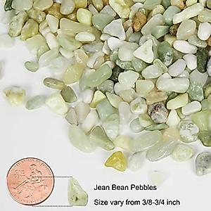 GASPRO 5 Pound Pebbles for Indoor Plants, 3/8 Inch Decorative Rocks for Bamboo, Vase, Succulents, Highly Polished and Smooth Surface, Jade