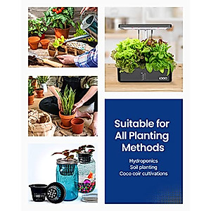 iDOO Plant Food 70 oz (2 Liter), All-Purpose Water Soluble A & B Nutrients, Liquid Concentrated Hydro Garden Fertilizer for Hydroponics System, Indoor Potted House Plants, Flowers, Vegetable