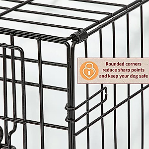 Dog Crate | MidWest Life Stages 36" Double Door Folding Metal Dog Crate | Divider Panel, Floor Protecting Feet, Leak-Proof Dog Pan | 36L x 23W x 25H Inches, Intermediate Dog Breed