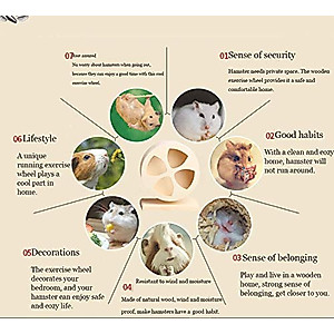 XINGFENSIFNE Hamster Exercise Wheel Silent Spinner with a Shield and Disassemble Base, Wooden Running Wheel for Syrian Hamster, Dwarf Hamster,Mice,Guinea Pigs and Other Small Animals, 6 inch