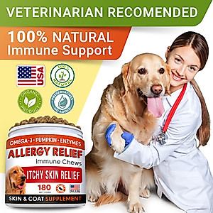 Probiotics + Allergy Relief for Dogs Bundle - Chewable Fiber Supplement + Itchy Skin Treatment - Digestive Enzymes + Omega 3 & Pumpkin - Upset Stomach Relief + Itch Relief- 360 Chews - Made in USA