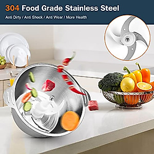 Food Processors Electric, Meat Grinder 2L Stainless Steel Meat Blender Food Chopper for Meat, Onion, Vegetables with 2pcs Bi-Level Blades, 2 Speed, 500W, 8 Cup (Meat Grinder with Single bowl)