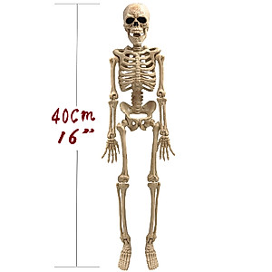 e Crafty 16" Halloween Skeleton,Full Body Skeleton with Posable Movable Joints for Haunted House Props Decorations