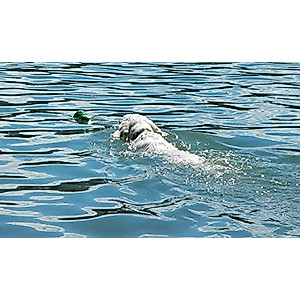 Cycle Dog Small Blue 3-Play Hippo Dog Toy with Ecolast Recycled Material - Tough & Sustainable Chew Toy for Dogs & Puppies/Treat Dispenser/Floats Above Water/Indestructible for Aggressive Chewers