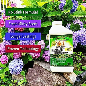 Nature's MACE Deer & Rabbit Repellent 40oz Spray/Covers 1,400 Sq. Ft. / Repel Deer from Your Home & Garden/Safe to use Around Children, Plants & Produce/Protect Your Garden Instantly