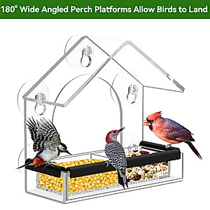Clear Window Bird Feeder with 5 Extra Strong Suction Cups, DY-SKTY Sturdy and Durable Acrylic Bird Feeders for Viewing Wild Bird Outside, as a Bird Watching Gift, Outdoor Bird Feeder, and Garden Decor