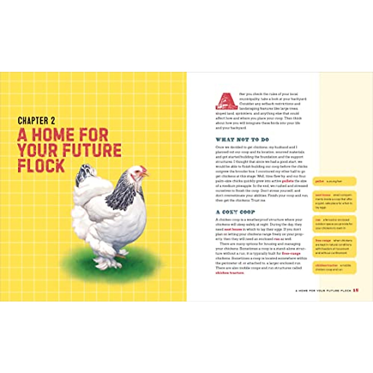 The Beginner's Guide to Raising Chickens: How to Raise a Happy Backyard Flock (Raising Chickens Guide)