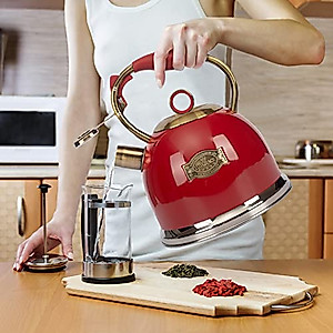 Tea Kettle, Stovetop Whistling Teapot, Stainless Steel, Black, 3.0-Quart