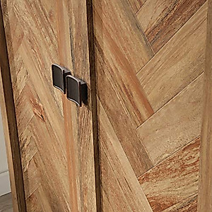 Sauder Cannery Bridge Storage Cabinet, Sindoori Mango finish