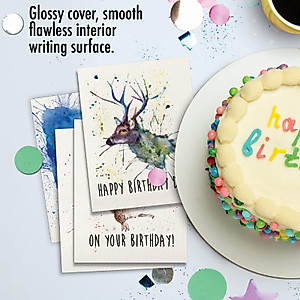 The Best Card Company - 10 Blank Happy Birthday Note Cards - Assorted Bulk Cute Humorous Animal Pun Birthday Greeting Cards Boxed Set (4 x 5.12 Inch) - Wildlife Expressions M2954BDB