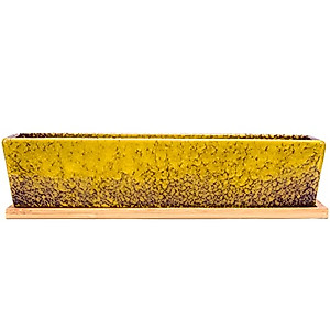 Succulent Pots - Large Succulent Planter Pots with Drainage, 12 Inch Long Rectangle Bonsai Pot with Bamboo Tray Shallow Ceramic Cactus Flower Planter Window Box for Home Garden Decor (Yellow)