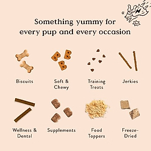 Bocce's Bakery - Limited Edition Wheat-Free Dog Treats, Burgers & Fries Biscuits, 5 oz