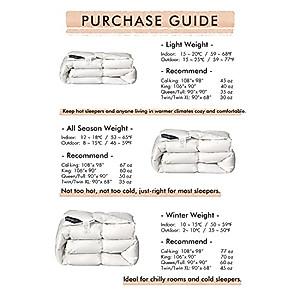 Royoliving Superior Poland Down Comforter 100% Egyptian Cotton Shell All Season Queen/Full Size Quilted Duvet Insert with 4 Corner Tabs and 4 Middle Loops (White All Season, Queen/Full)