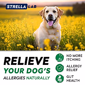 StrellaLab Dog Allergy Relief & Anti Itch Support Chews w/Omega 3: Real Ingredients, Real Taste! Skin & Coat Immune Supplement w/Fish Oil, Pumpkin & Enzymes — Developed by Experts - Made in USA -120Ct