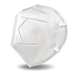 Honeywell Safety Products Safety DF300 H910P N95 Flatfold Disposable Respirator - Box of 50 (DF300H910N95)