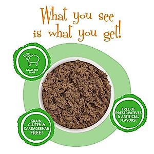 Weruva Cats in The Kitchen, Lamb Burger-ini Wet Cat Food, 10oz Can (Pack of 12)