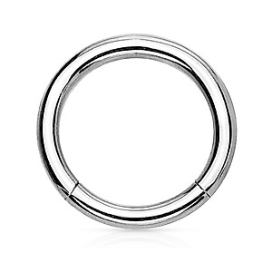 Forbidden Body Jewelry 14g 10mm Surgical Steel Seamless Segment Body Piercing Hoop