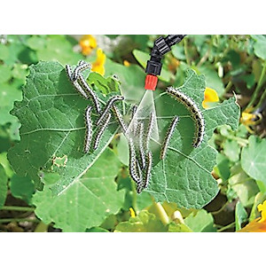 Solo 430-2G 2-Gallon Farm and Garden Sprayer with Nozzle Tips for Multiple Spraying Needs