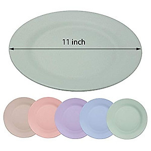 LuckyZone 11inch/5pcs Wheat Straw Plates - Reusable & Unbreakable Plate - Dishwasher & Microwave Safe - Perfect for Dinner Dishes - Healthy, Lightweight, BPA Free & Eco-Friendly (5 colors)