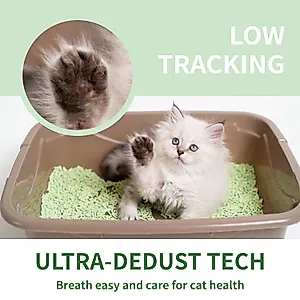 PATLOOL Clumping Cat Litter, Tofu Cat Litter, Superior Odor Control Kitty Litter, 99.9% Dust Free, Flushable, Low Tracking, Ultra Absorbent, Natural Ingredients, Easy Clean-Up, Green Tea Scent