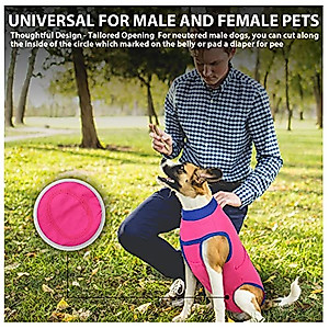 Queenmore Recovery Suit for Dogs Cats After Surgery,Dog Surgical Recovery Suit Onesie,Anti Licking Pet Female Spayed Neutered Puppy Surgical Clothes for Abdominal Wounds, Substitute E-Collar & Cone