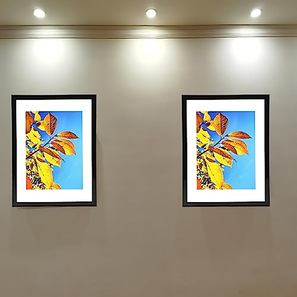 Aynoo 9x12 Picture Frame Wooden Picture Frame Display Pictures 6x8 Picture Frame with Mat or 9x12Without Mat, HD Minimalism Black Wood Picture Collage Photo Frames for Wall Mounting 9x12 (1 Pack)