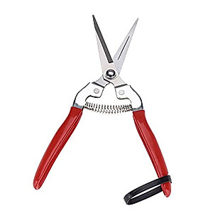 Pruning Shears, Garden Clippers Garden Scissors Fruit Tree Bonsai Gardening Pruning Shear Hand Pruners, Pruning Shear for Arranging Flowers Trimming Plants & Hydroponic Herbs