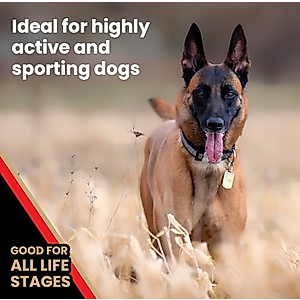 Victor Super Premium Dog Food – High Energy Dry Dog Food for Active Dogs – Gluten Free Dog Food with Beef and Chicken Meal Proteins for Sporting Dogs – All Breeds and All Life Stages, 15 Lb