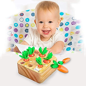 SKYFIELD Wooden Carrot Harvest Game & Shape Puzzles Gifts Toys for Boys Girls 3 4 5 6 Years Old, Color& Shape Educational Montessori Toys for Toddler Kids, Great Birthday Gift