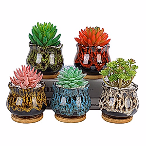 Cute Ceramic Succulent Garden Pots, Planter with Drainage and Attached Saucer, Set of 5 - Plants Not Included (Fambe)