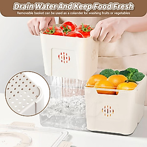 Fruit Storage Containers for Fridge: Divided Serving Tray with Lid and Handle - Snackle Box Container with 4 Removable Colanders - Berry Vegetable Fresh Produce Saver Refrigerator Organizer Bins