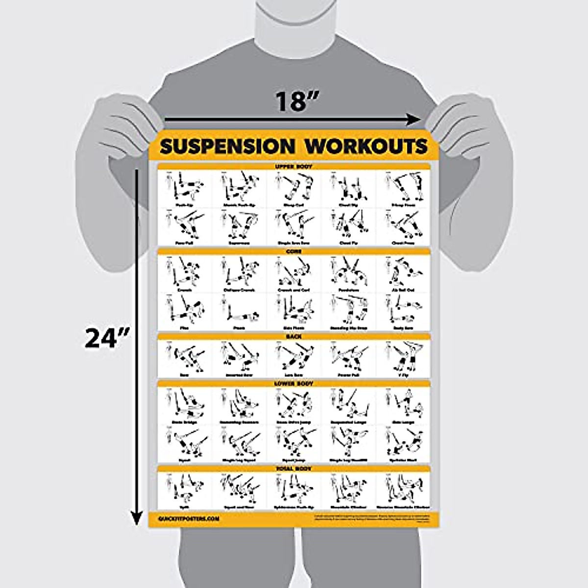 QuickFit 2 Pack Suspension Workout Posters - Volume 1 & 2 - LAMINATED Exercise Charts - 18" x 24" Vol. 1 & 2