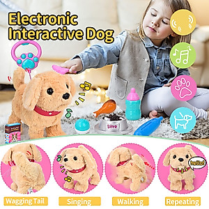 JoyGrow Electronic Plush Toy Talking Golden Retriever Pet for Girls Kids Interactive Toys Repeats What You Say,Singing,Walking,Barking,Shaking Tail,Pretend Doctor Kit