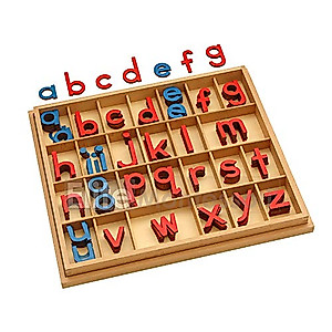 Elite Montessori Wooden Movable Alphabet with Box Preschool Spelling Learning Materials (Red & Blue, 5mm Thick)