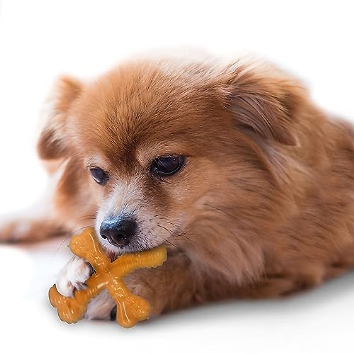Nylabone Flexi Chew X-Bone Senior Dog Chew Toy Turket & Sweet Potato Small/Regular (1 Count)