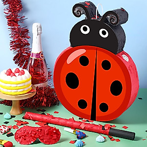 Pasimy Ladybug Piñata with Blindfold Bat Confetti Ladybug Party Decorations Ladybug Birthday Party Supplies Summer Parties Game Insect Party PiñataCarnival Decorations, 16 x 11.8 x 2.9 Inches