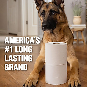 Scott 1000 Trusted Clean Toilet Paper, 32 Rolls, Septic-Safe, 1-Ply Toilet Tissue