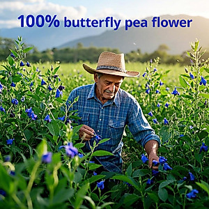 Butterfly Pea Flower Powder 4oz | Natural Blue Food Coloring for Drinks, Baking, Smoothies | Vegan, Non-GMO, Gluten-Free, No Additives