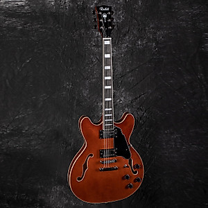 Redid Semi-Hollow Body Electric Guitar RD-100 Jazz Guitar with F-Hole,Maple neck,humbucker Pickups(Brown)