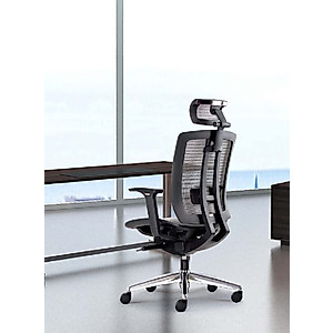 Ergonomic Office Chair with Adjustable 4D Armrest Headrest & Lumbar Support, High Back Mesh Computer Chair for Home and Office