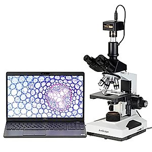 AmScope T490B-DK Compound Trinocular Microscope, WF10x and WF20x Eyepieces, 40X-2000X Magnification, Brightfield/Darkfield, Halogen Illumination, Abbe Condenser, Double-Layer Mechanical Stage, Sliding Head, High-Resolution Optics