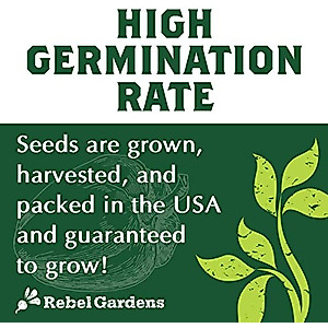 Kitchen Garden Seed Collection - Certified Organic Herb & Vegetable Seeds - 14 Varieties of Non-GMO, Heirloom, Home Garden Seeds for Planting - Basil, Tomato, Spinach, Cilantro, & More