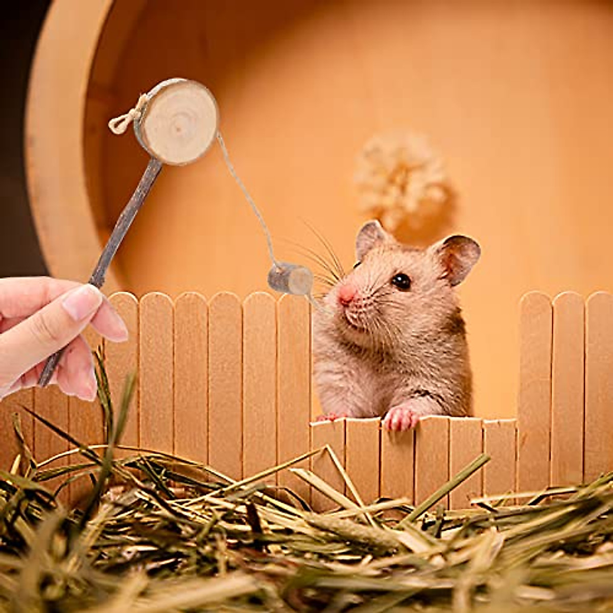 DAMPET Hamster Chew Toys, Hamster Activity Toys, Gerbil Rat Guinea Pig Chinchilla Chew Toys, Toys Accessories for Teeth Care,Natural Apple Wood Toys for Hamster, Rabbits, Bunny, Gerbil (Style 3)