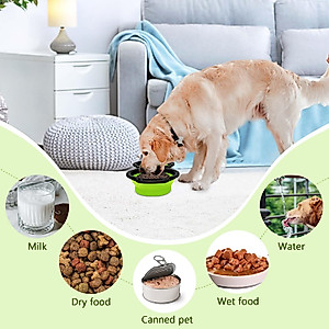 PNEUICALLY Collapsible Silicone Cat and Dog Travel Bowls,2 in 1 Foldable Pet Feeding and Watering Dish for Walking Camping Hiking with Carabiner (Green)