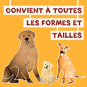 Benevo Vegan Pawtato Knots Large