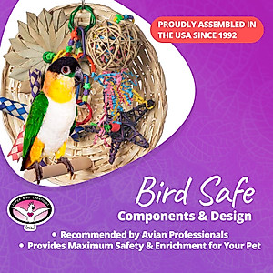 Super Bird Creations SB543 Busy Birdie Play Perch Bird Toy, Small/Medium Bird Size, 9.5" x 9.5" x 6"