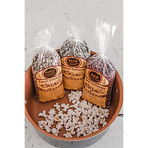 Amish Country Popcorn | 3-1 lb Bags | Purple, Red and Blue Popcorn Kernels | Old Fashioned, Non-GMO and Gluten Free (3-1 lb Bags)