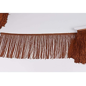 Heartwish268 Fringe Trim Lace Polyerter Fibre Tassel 6inch Wide 10 Yards Long for Clothes Accessories Latin Wedding Dress DIY Lamp Shade Decoration Coffee