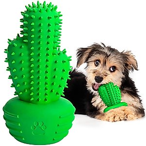 Pamlulu Christmas Dog Gifts, Dog Toys for Small Dogs Dog Toothbrush for Teething Cleaning, Rubber Dog Squeaky Toys for Puppy