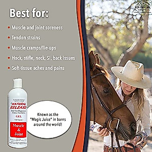 Four Oaks Farm Ventures, Natural Release Muscle Gel Treatment - Horse Liniment for Sore Muscles, Joint Pain, Tendon & Inflammation Relief - Easy to Use, Fast Acting, Alcohol & Menthol Free (16 oz)